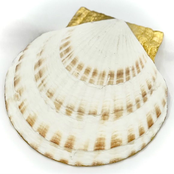 Hand Crafted | Accents | Hand Crafted Butterfly Trinket Shell Dish ...